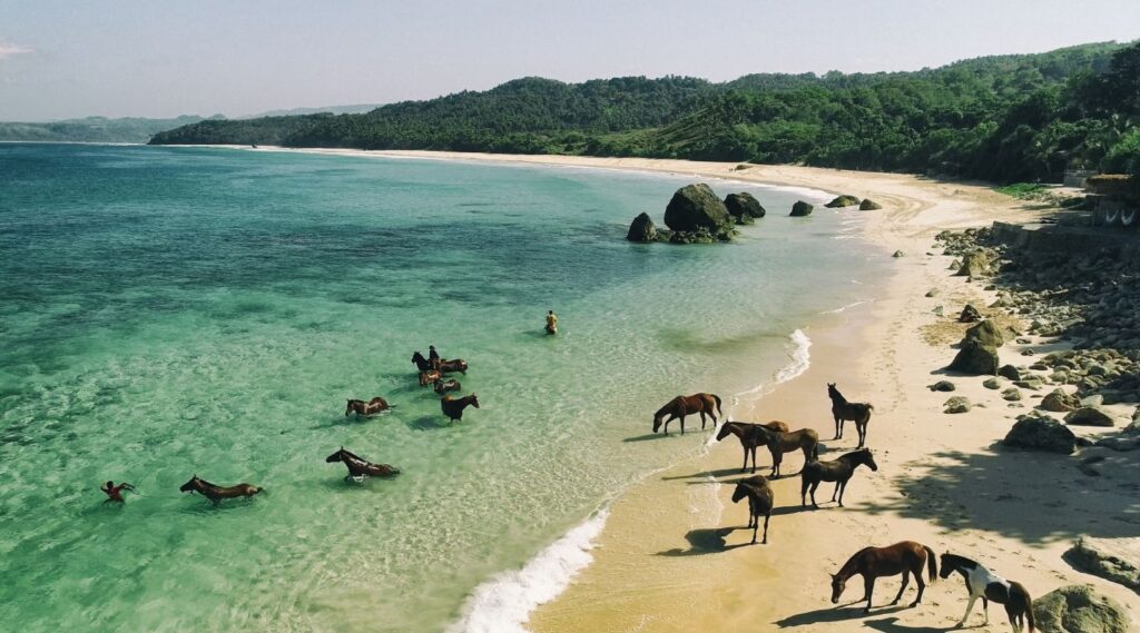 Sumba Island: Unveiling Pristine Nature and Tribal Cultures