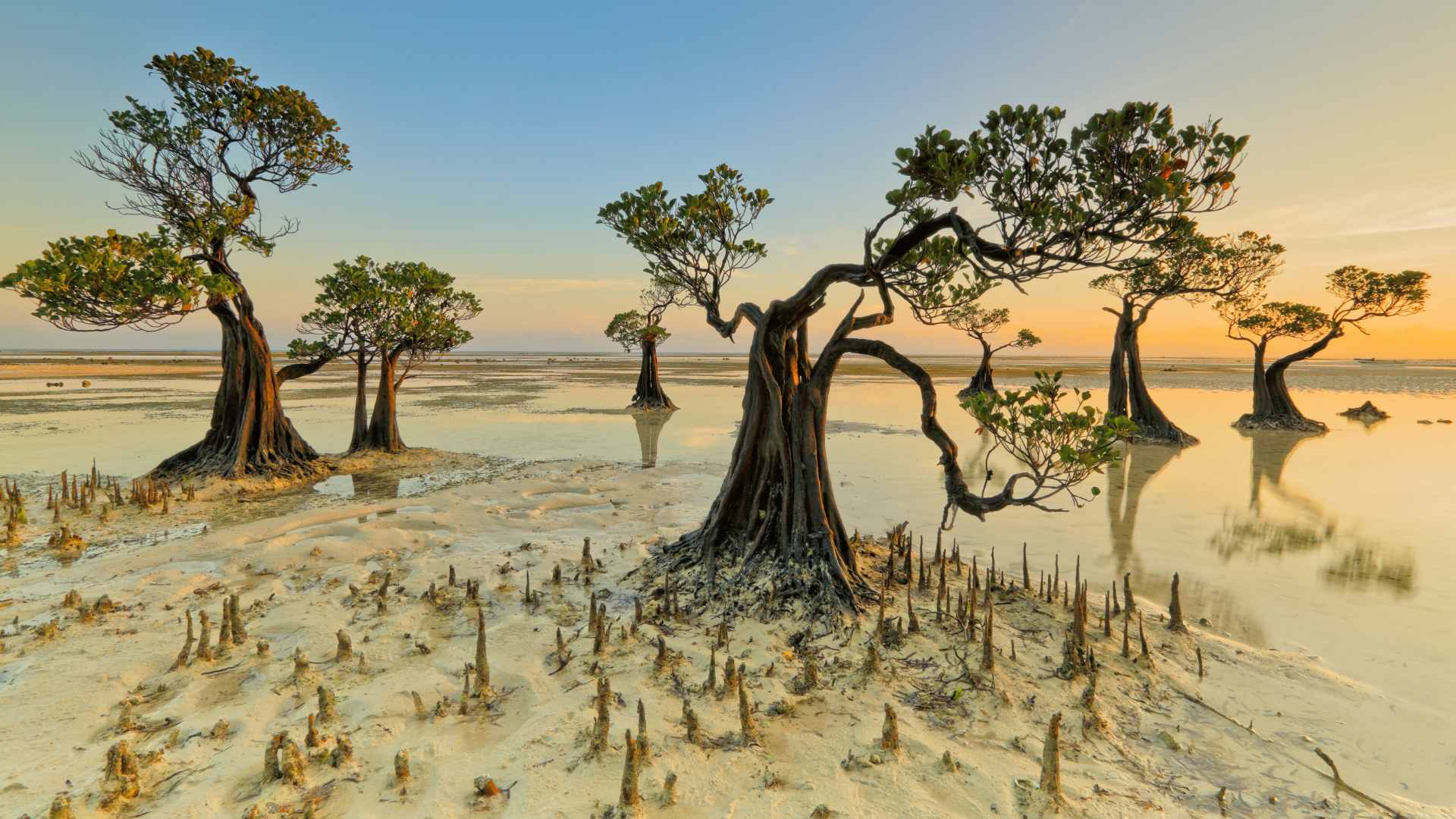 Sumba Island: Unveiling Pristine Nature and Tribal Cultures